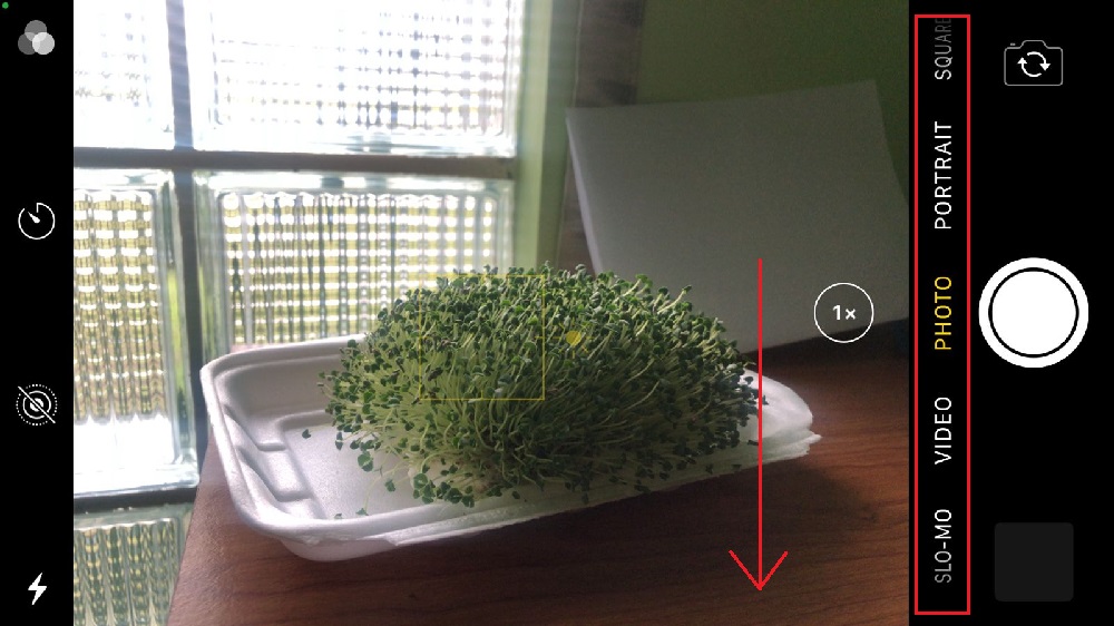 9 Mini Tips You Should Know Before Using Time Lapse On IPhone 